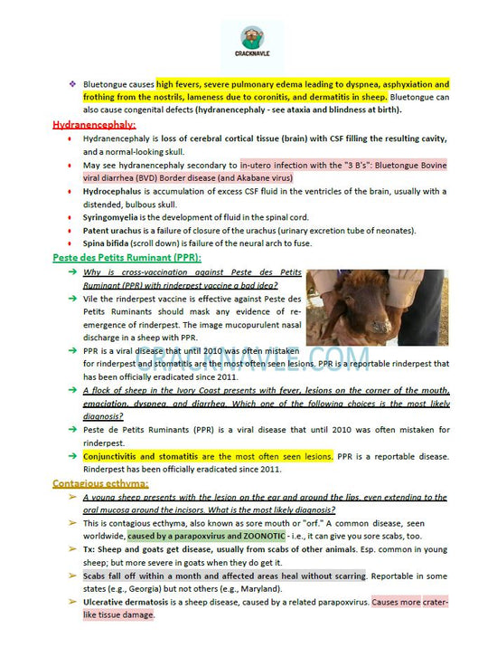 Crack NAVLE: Premium NAVLE Study Notes & Vet School Notes