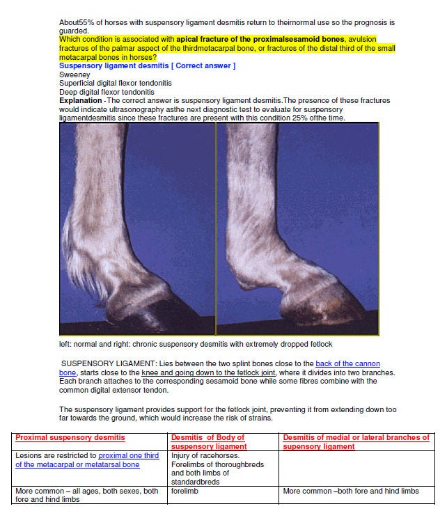 Complete Vet Study Guide - Complete Vet Study Notes - Best comprehensi ...