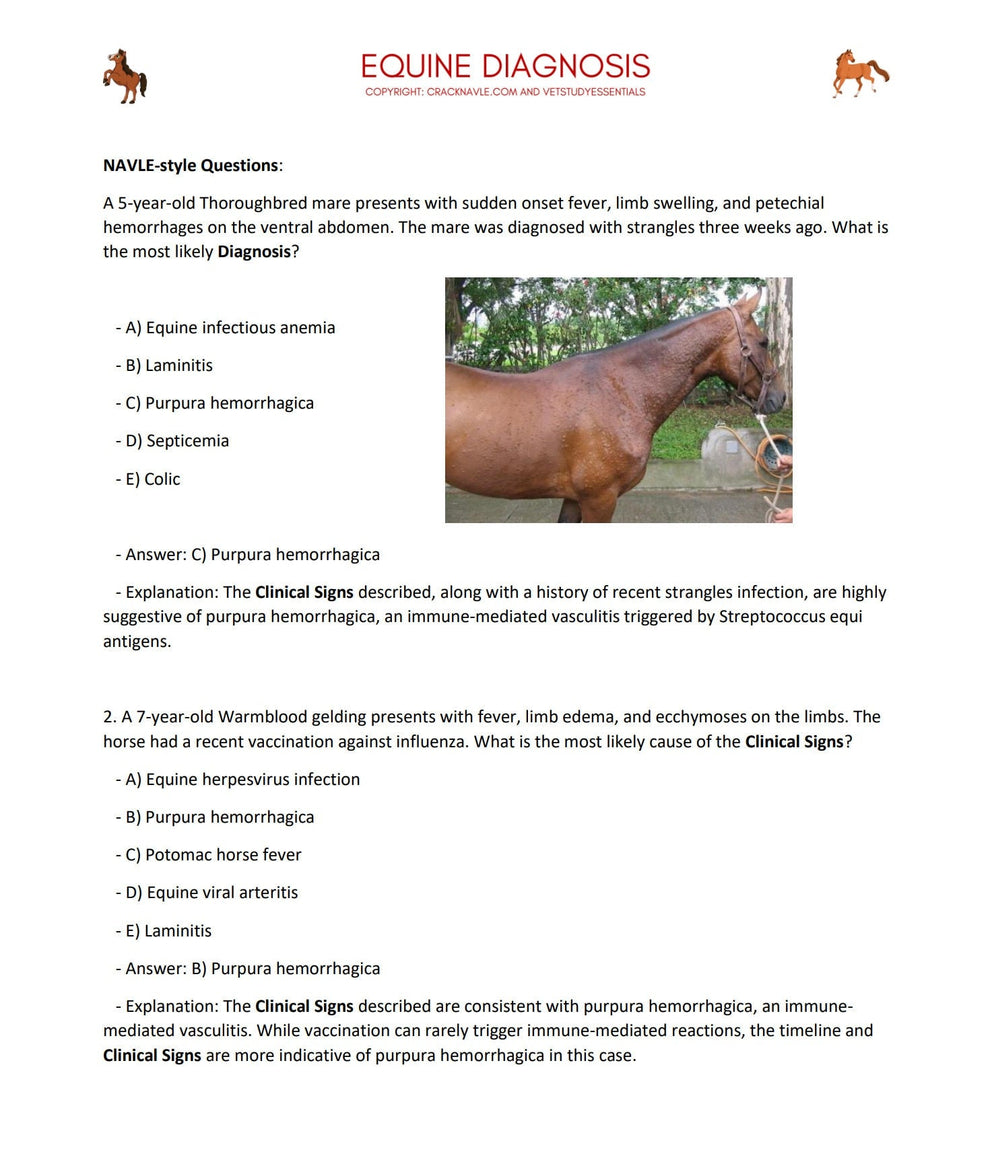 Equine Diagnosis for NAVLE - Equine Diagnosis ICVA with 3 NAVLE styled ...